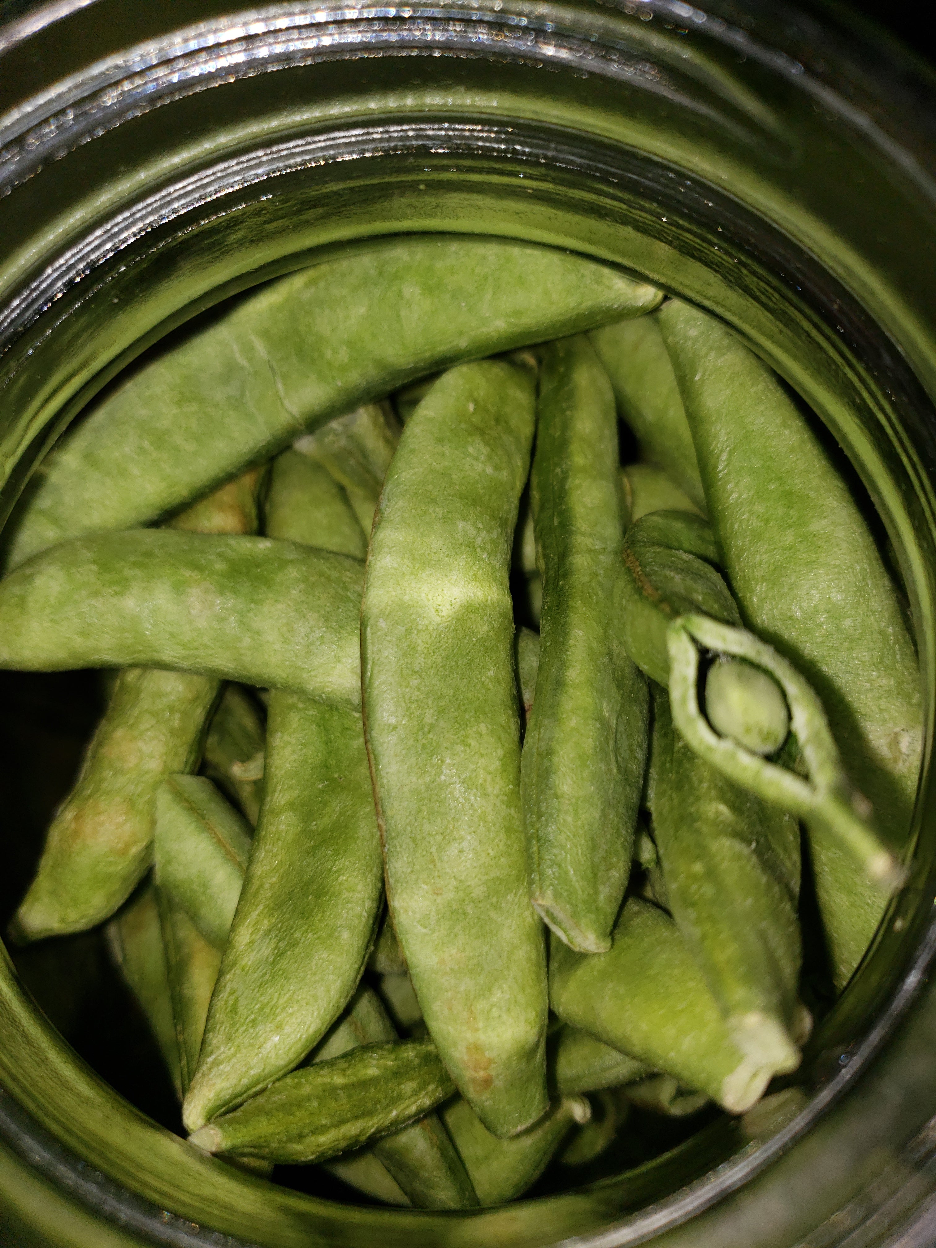 Freeze Dried Sugar Snaps – Texas Natural Freeze Dried Products